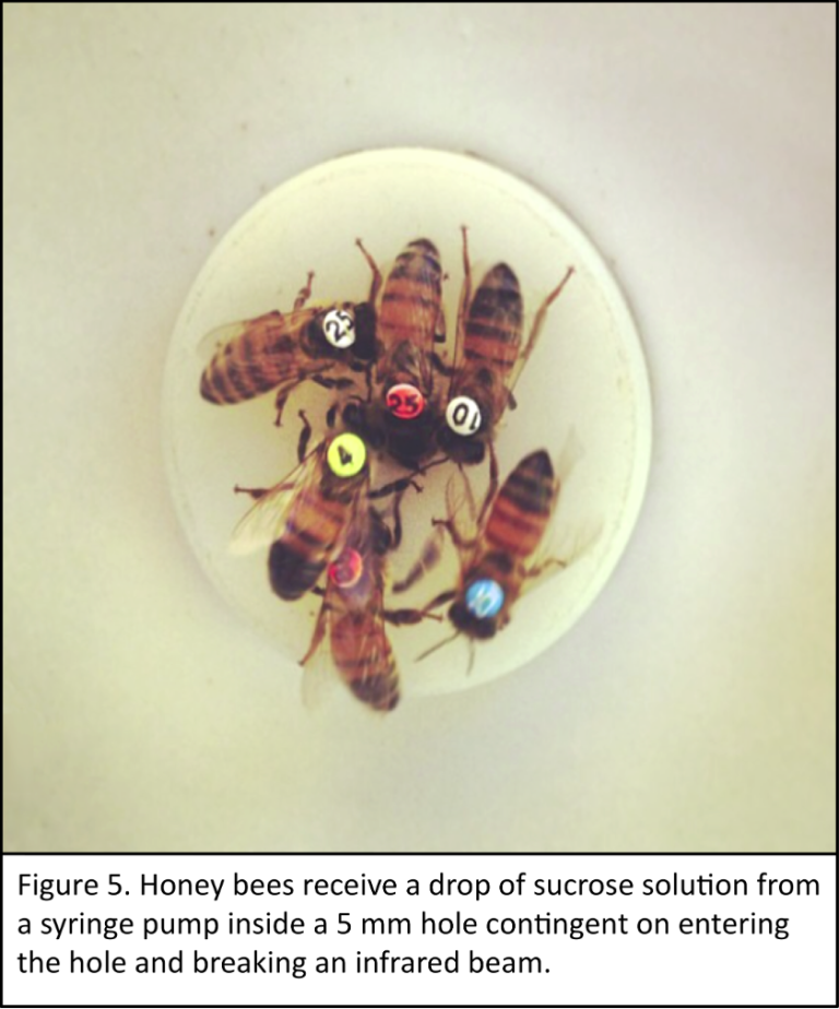 The Propeller Experiment Controller Parallax Learn